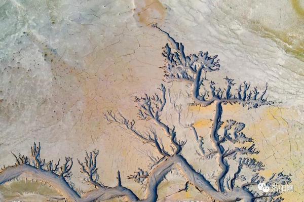 【双语新闻】河床出现神奇图案，黄河小浪底又要火了！-大河号-大河网